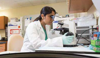 Harold and Muriel Block Institute for Clinical and Translational ...