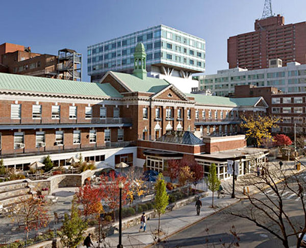 About Einstein | Albert Einstein College of Medicine