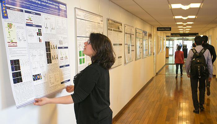 Posters and Presentations | Creative Services | Philip and Rita Rosen ...