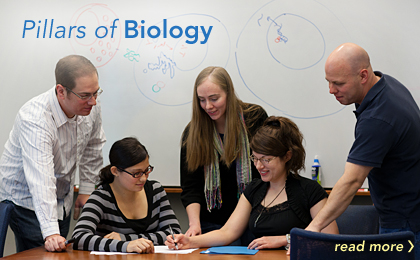 News Archive | Newsroom | Albert Einstein College of Medicine