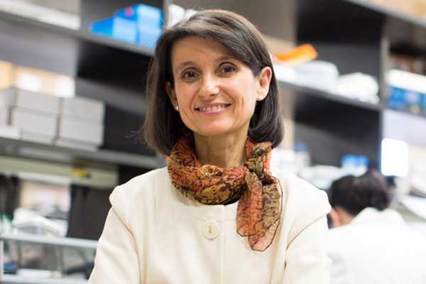 Ana Maria Cuervo, M.D., Ph.D., Elected to the National Academy of ...