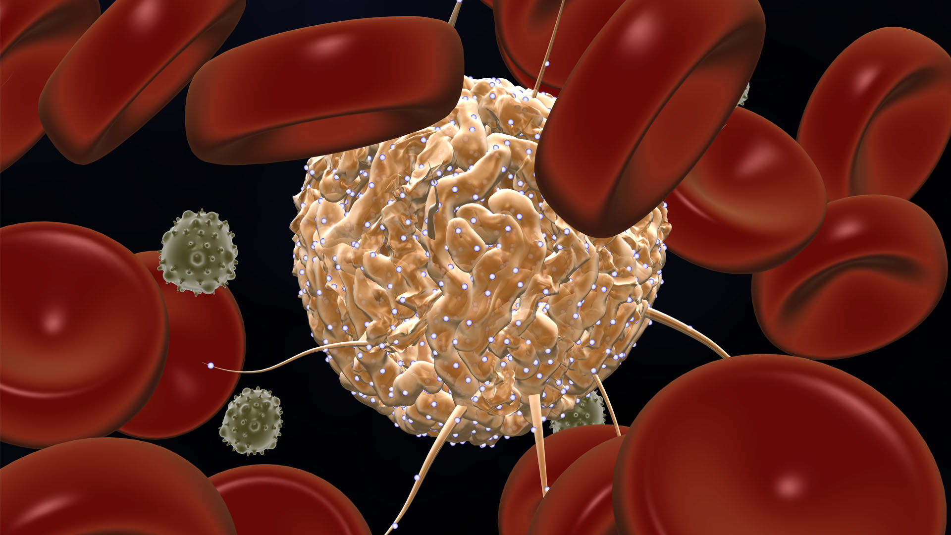 Research | Albert Einstein College of Medicine