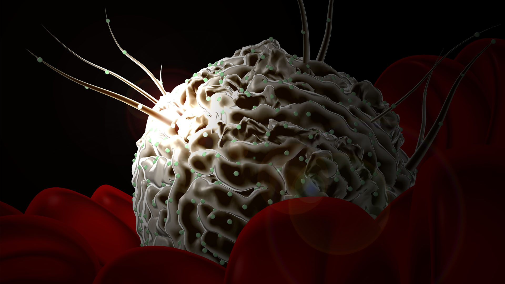 Overview | Department of Cell Biology | Albert Einstein College of Medicine