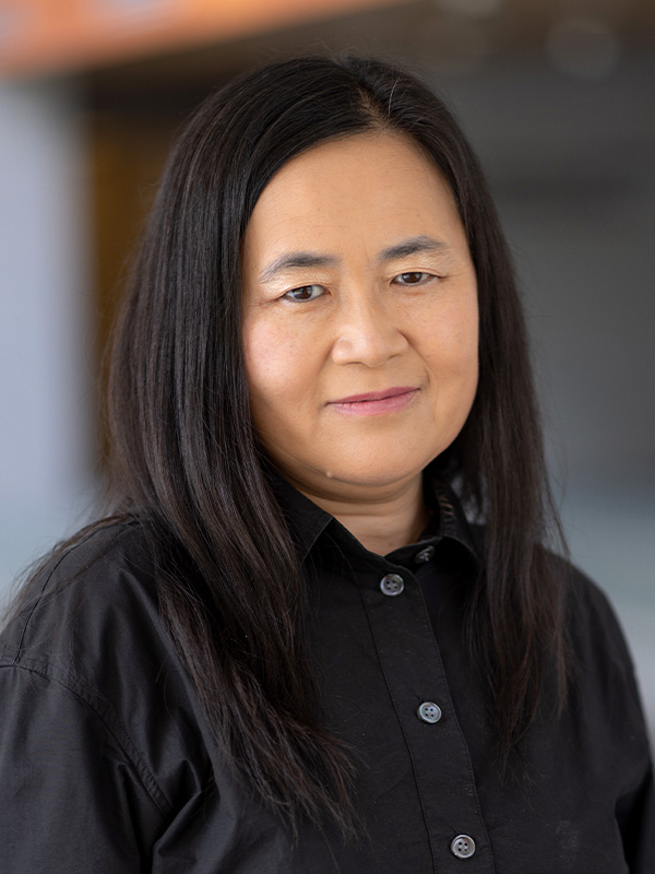 Ruobing Xiao, M.D. | Faculty Directory | Albert Einstein College of ...