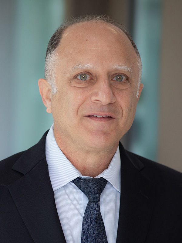 David Esses, M.D. | Faculty Directory | Albert Einstein College of Medicine