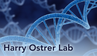 Overview | Human Genomics in Development and Disease | Albert Einstein ...