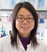 Team | Laboratory of Yaron Tomer | Albert Einstein College of Medicine ...