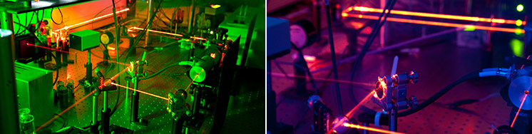 Overview | Integrated Imaging Program | Albert Einstein College of Medicine