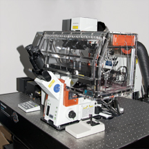 Multiphoton Olympus | Analytical Imaging Facility | Albert Einstein ...