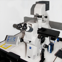 Zeiss Axio Observer CLEM | Analytical Imaging Facility | Albert ...