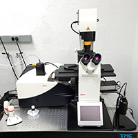 Leica SP8 | Analytical Imaging Facility | Albert Einstein College of ...