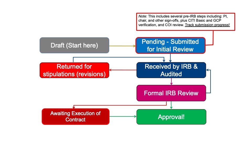 IRB Review | Office of Human Research Affairs | Albert Einstein College ...