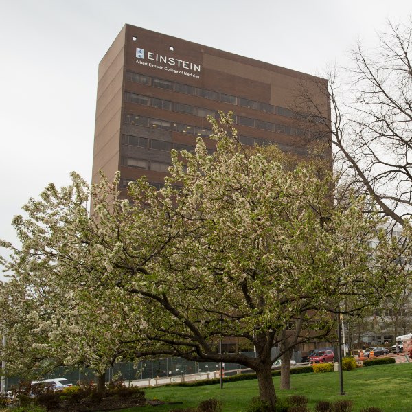 Endocrinology, Diabetes & Metabolism Fellowship | Fellowship: Division ...
