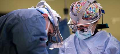 Overview | Leo M. Davidoff Department of Neurological Surgery | Albert ...