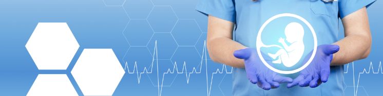 General Obstetrics and Gynecology | The Department of Obstetrics ...