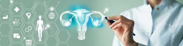 Gynecologic Oncology | The Department of Obstetrics & Gynecology and ...