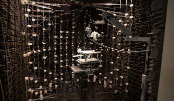 Home | Jose L Pena Lab | Albert Einstein College of Medicine ...