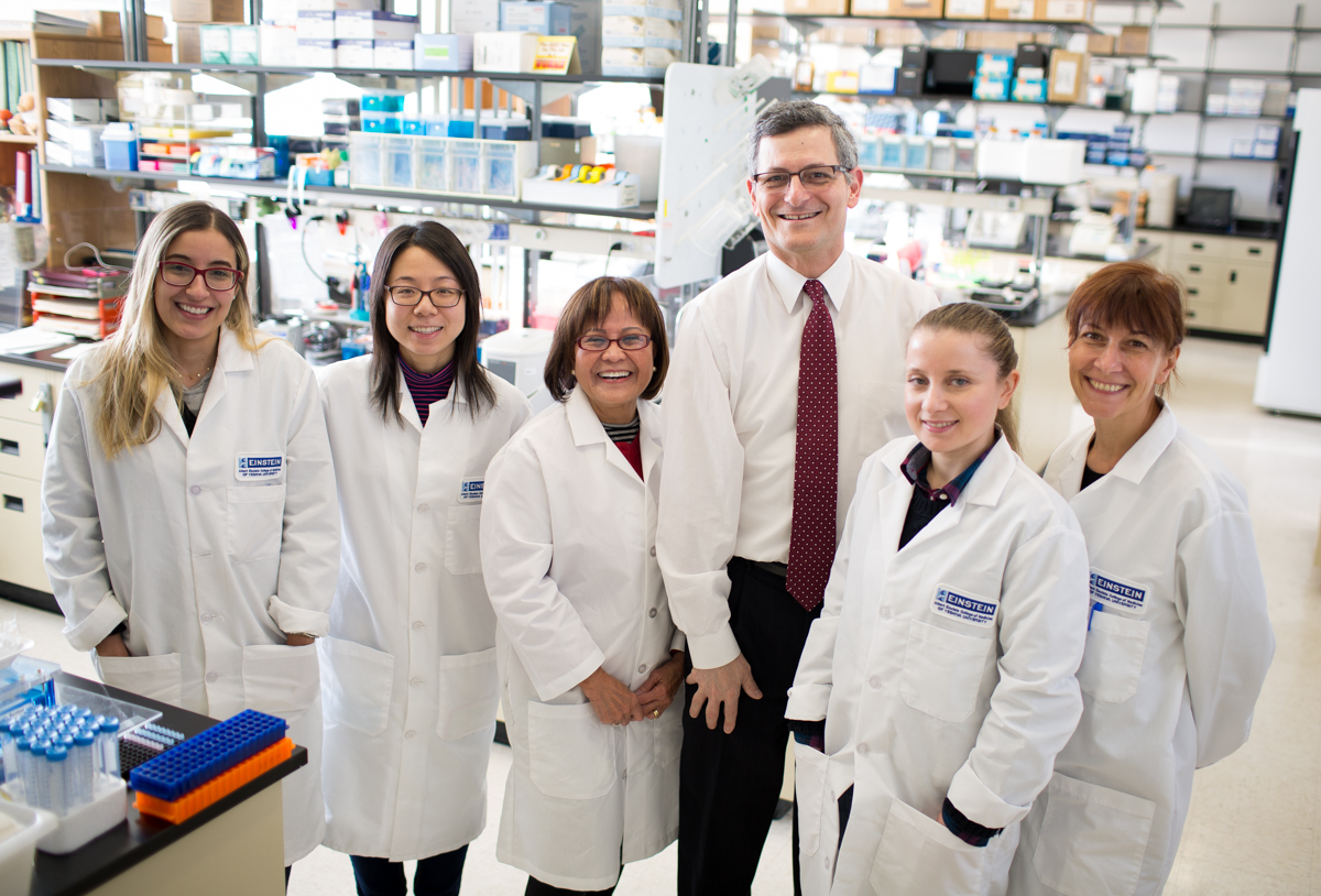 Overview | Laboratory of Yaron Tomer | Albert Einstein College of Medicine | Montefiore Einstein