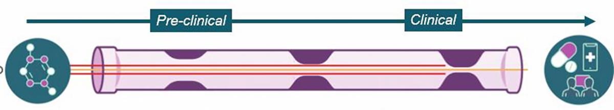 What is Translational Science? | Harold and Muriel Block INSTITUTE FOR ...