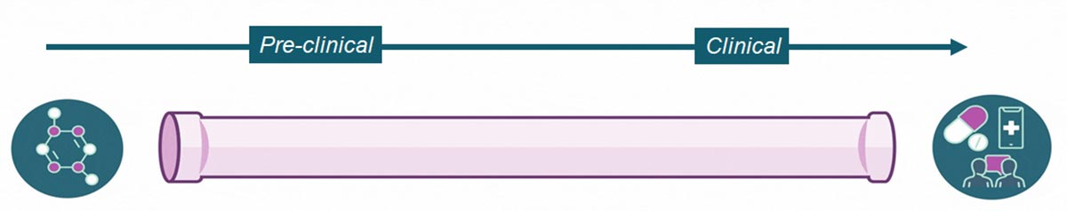 What is Translational Science? | Harold and Muriel Block INSTITUTE FOR ...