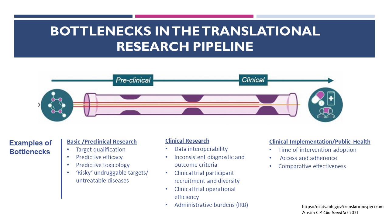 Pilot Project Funding | Harold and Muriel Block INSTITUTE FOR CLINICAL ...