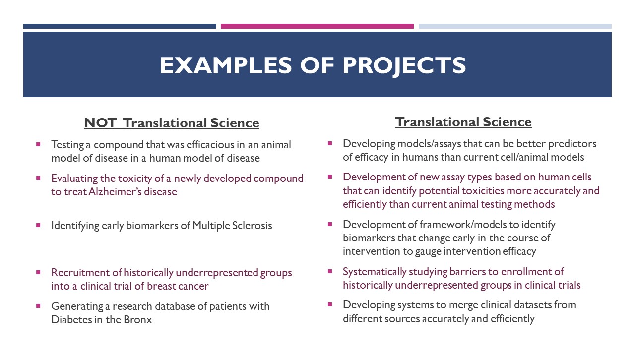 Pilot Project Funding | Harold and Muriel Block INSTITUTE FOR CLINICAL ...